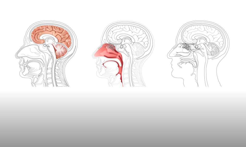 Patient Information Sheet – Neuroscience & graphic design
