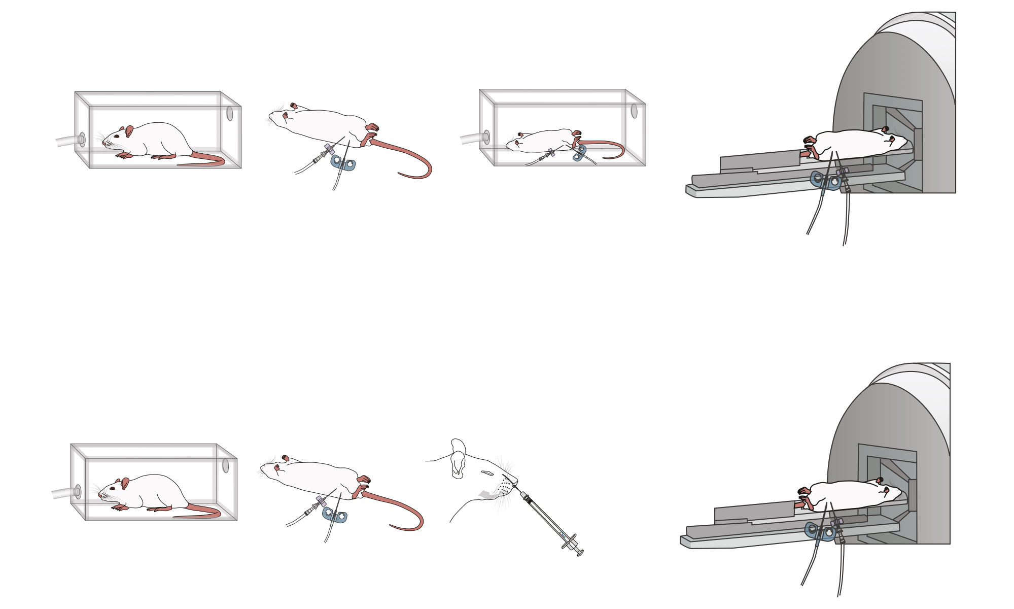 Constructing a conceptual figure using visual elements – part 2 ...