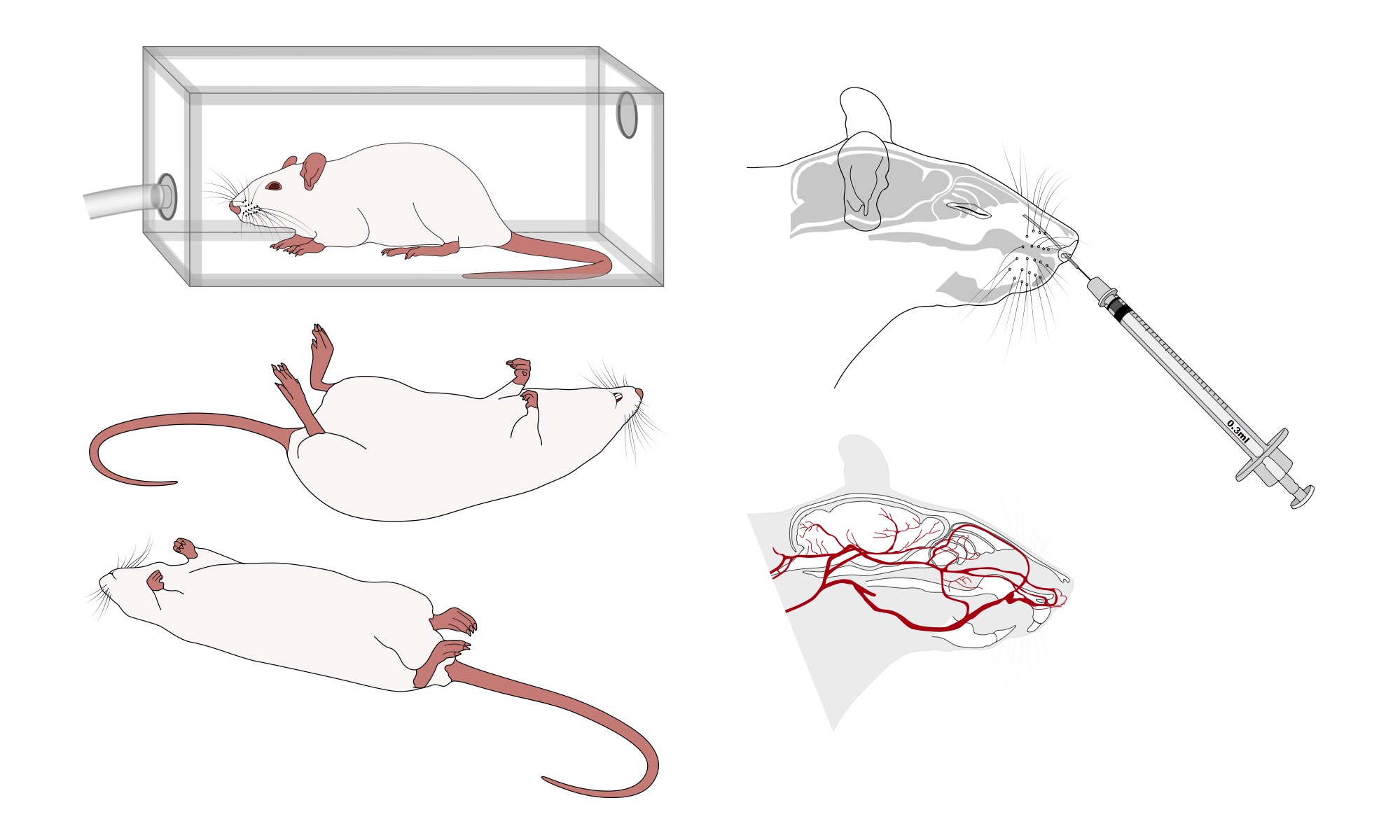 Constructing a conceptual figure using visual elements – part 1 ...
