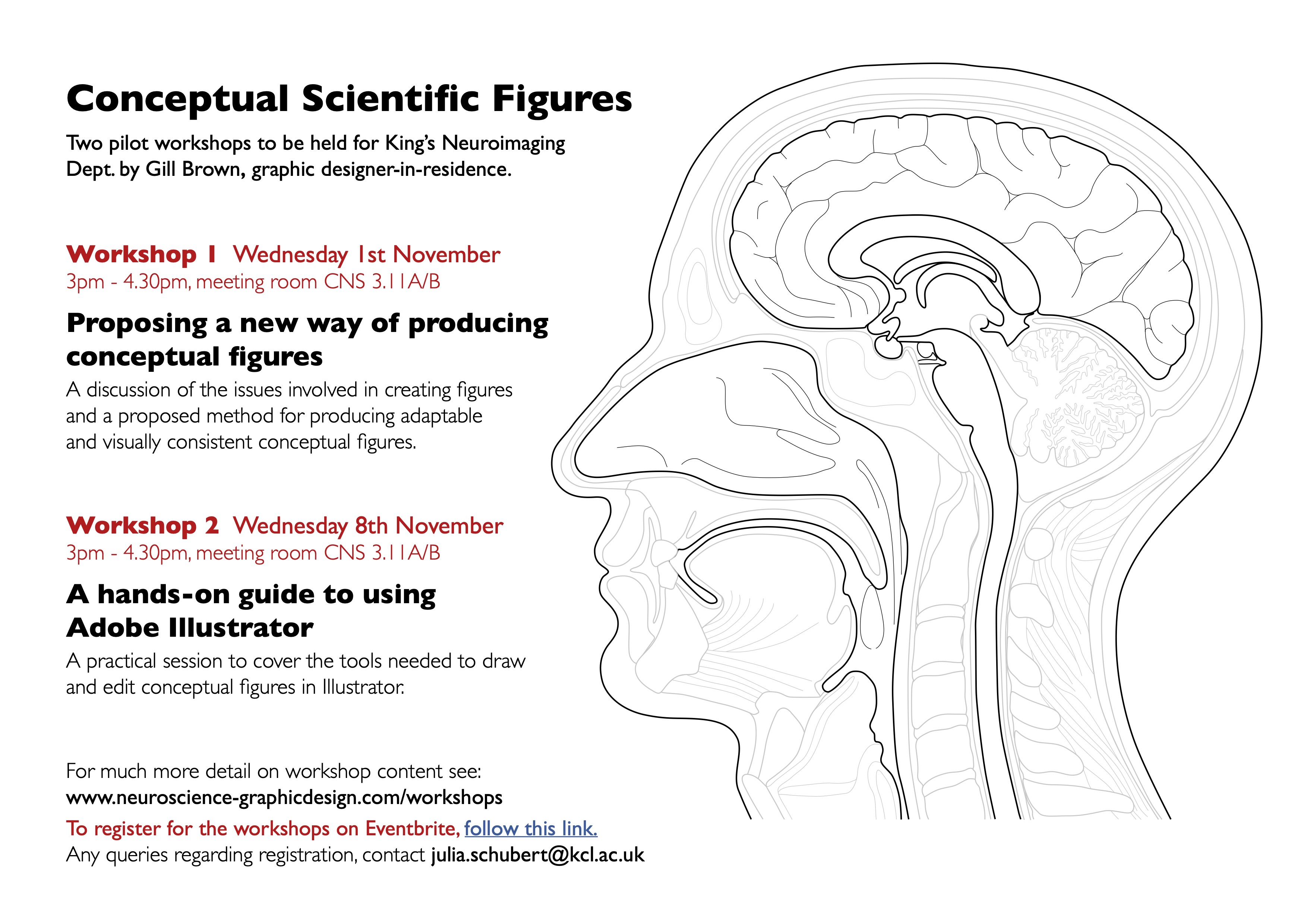 Workshops – Neuroscience & graphic design